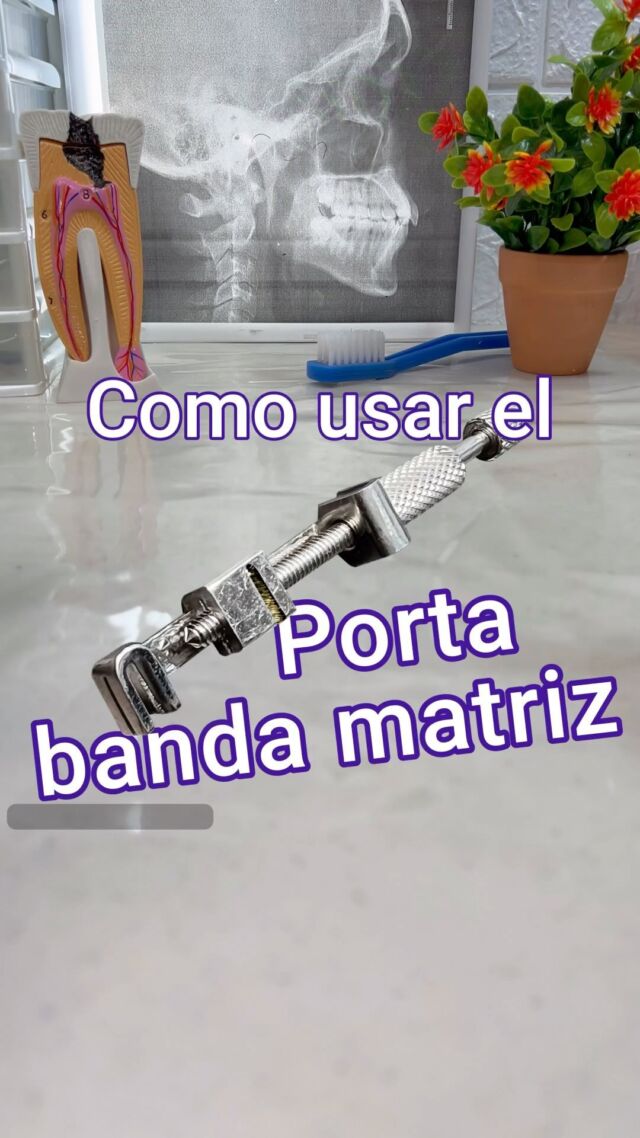 OdontoGuías